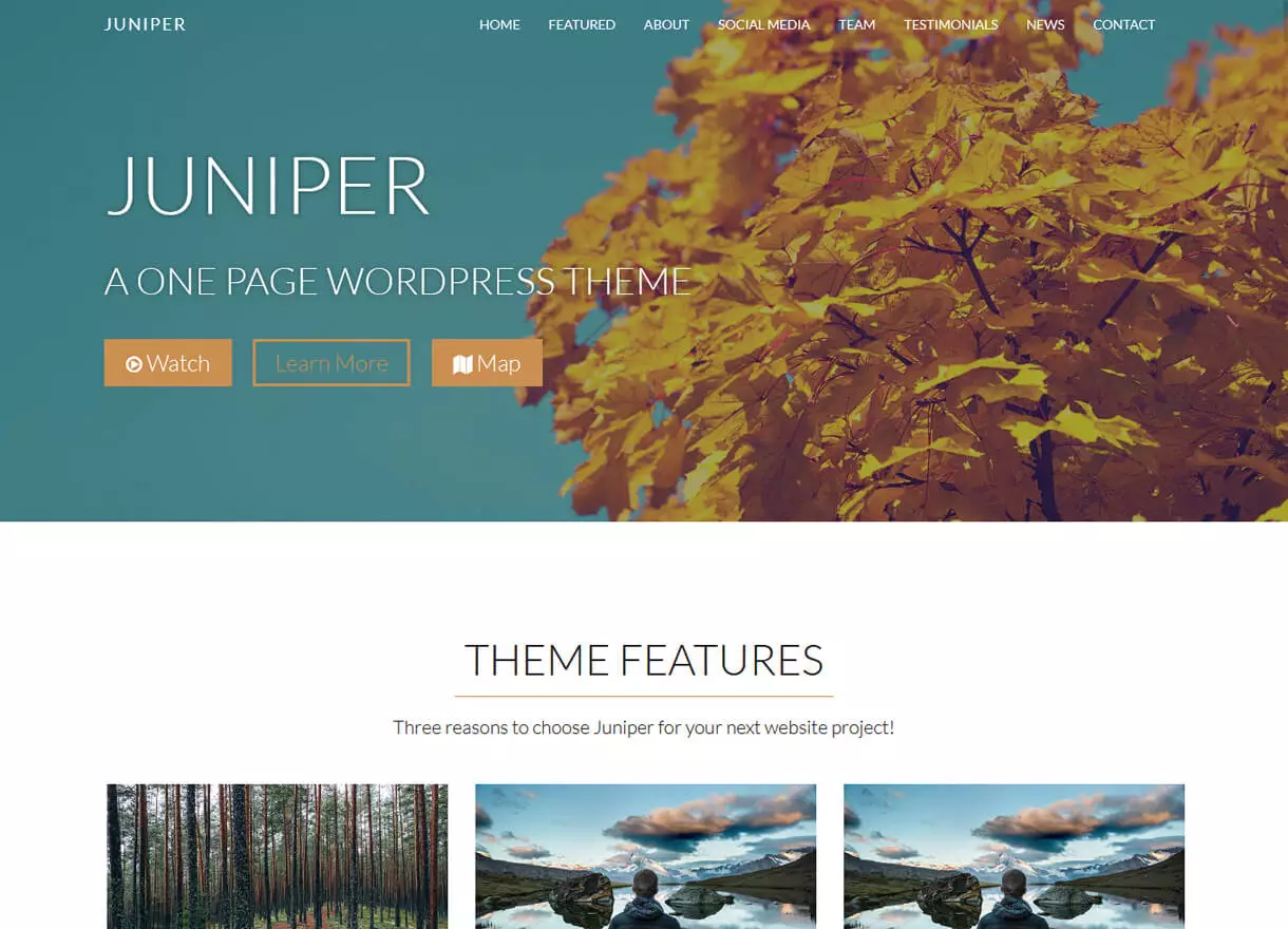 20+ Best Free One Page WordPress Themes for 2024 - 8DegreeThemes