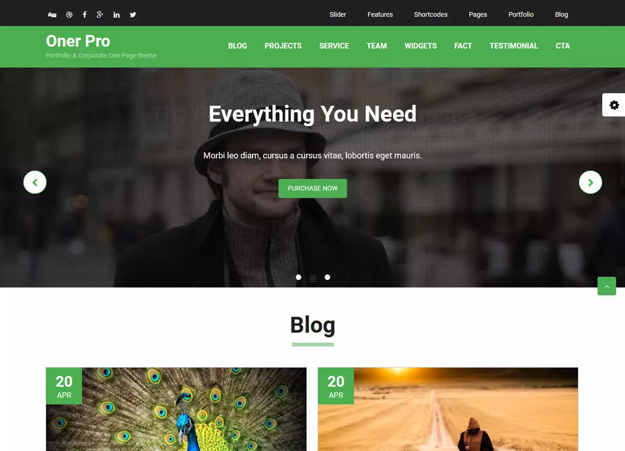 20+ Best Free One Page WordPress Themes for 2024 - 8DegreeThemes
