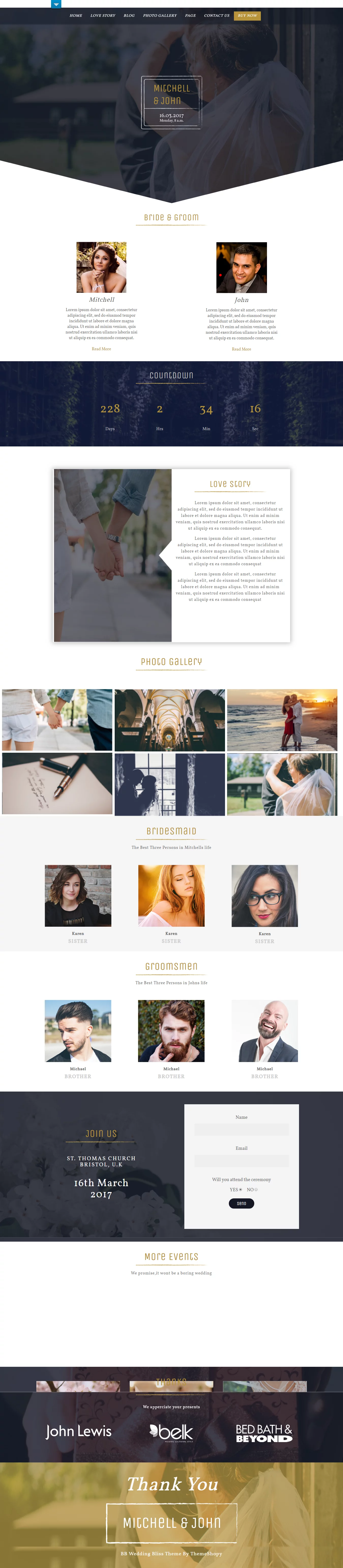 10+ Best Free Wedding WordPress Themes - 8DegreeThemes