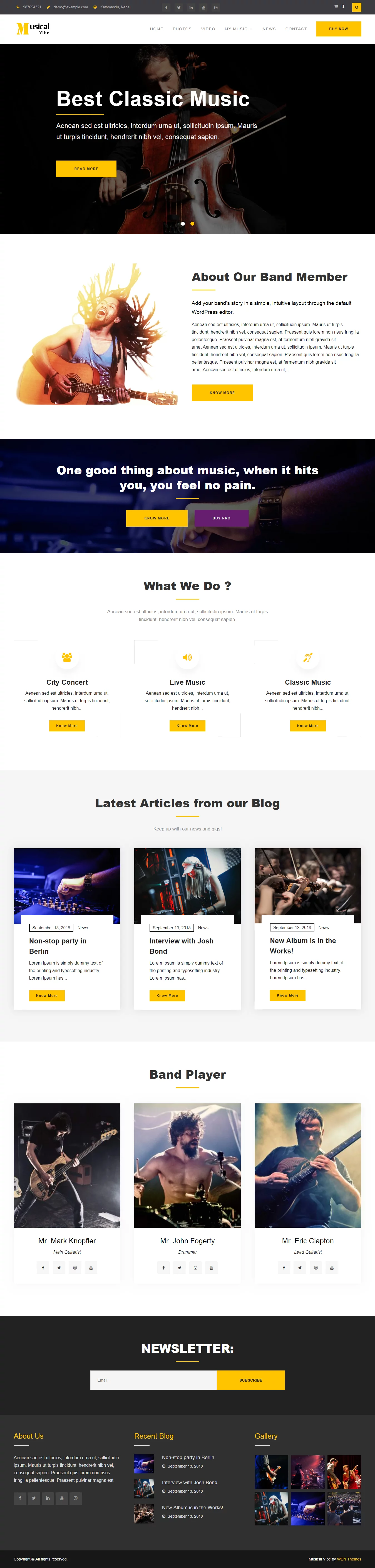 10+ Best Free Video and Music WordPress Themes - 8DegreeThemes
