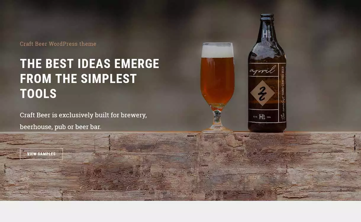 10+ Best Premium Bar and Pub WordPress Themes - 8DegreeThemes