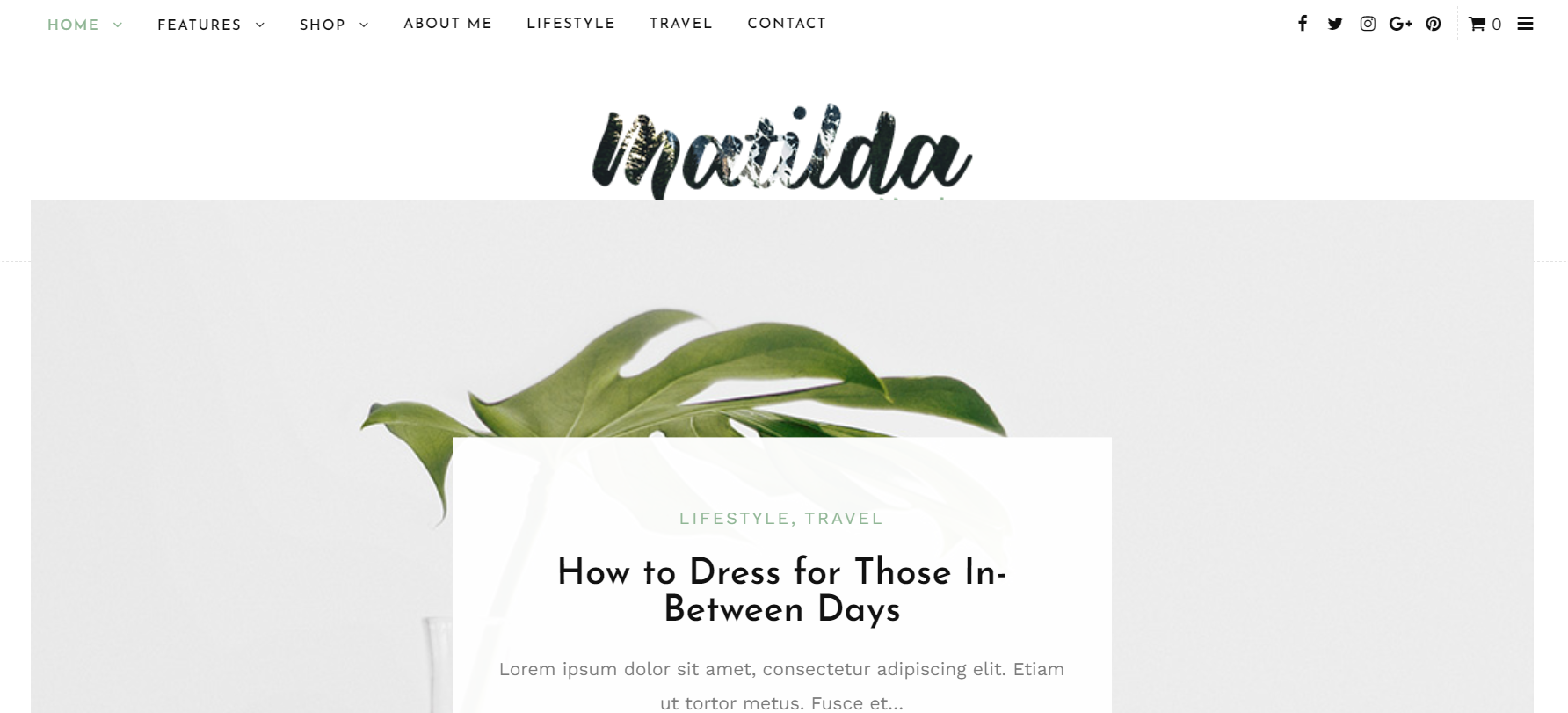 10 Best Premium Lifestyle Wordpress Themes 8degreethemes