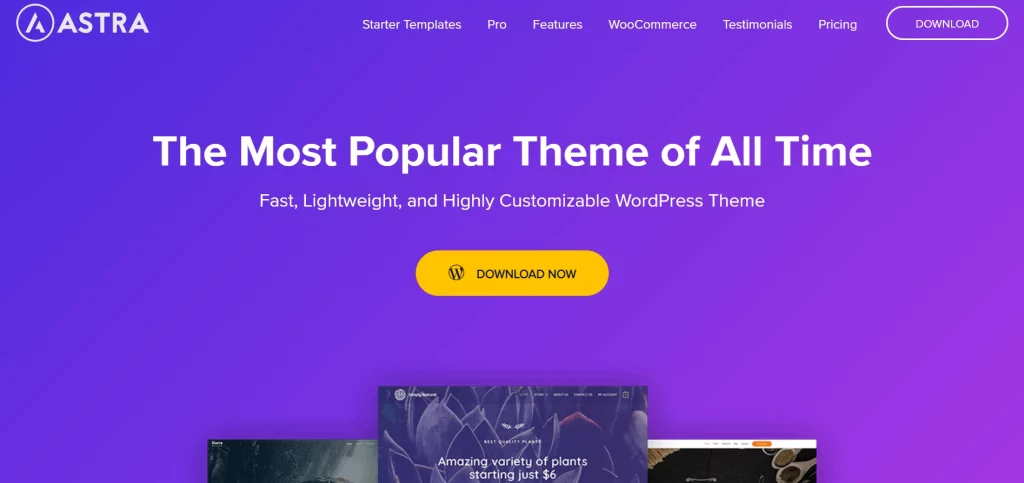 10+ Best Free Mobile App WordPress Themes - 2024 - 8DegreeThemes