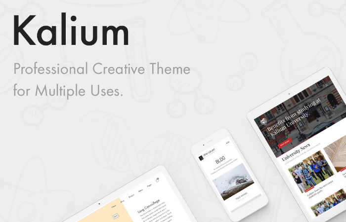 TOP 20+ Minimalist WordPress Themes in 2024 - 8DegreeThemes