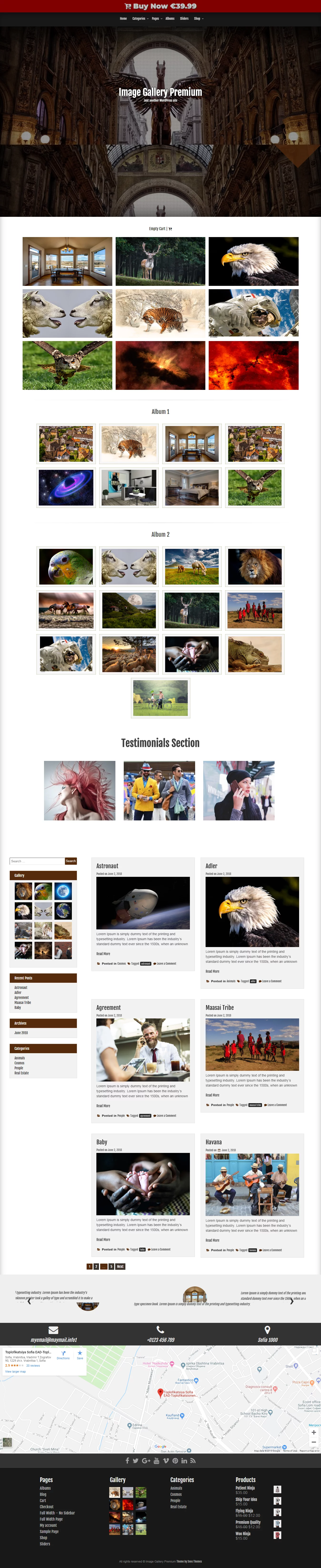 10+ Best Free Gallery WordPress Themes - 8DegreeThemes