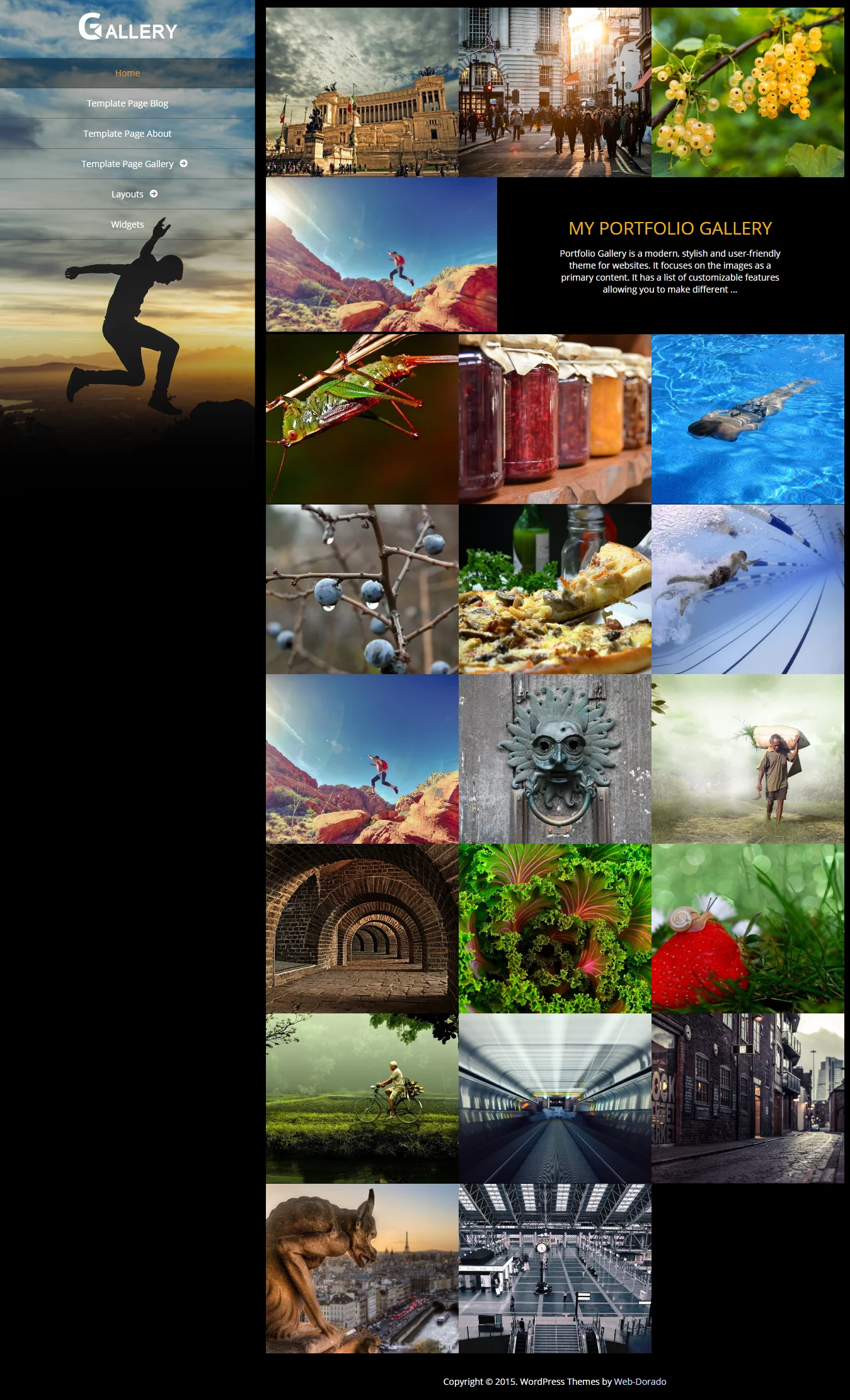 10+ Best Free Gallery WordPress Themes - 8DegreeThemes