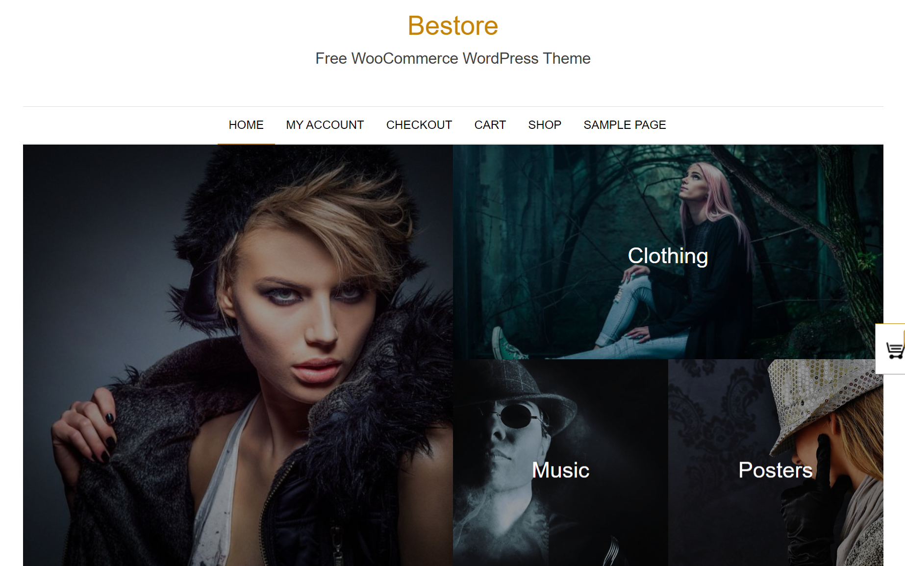 10+ Best Free Retail Shop WordPress Themes - 8DegreeThemes