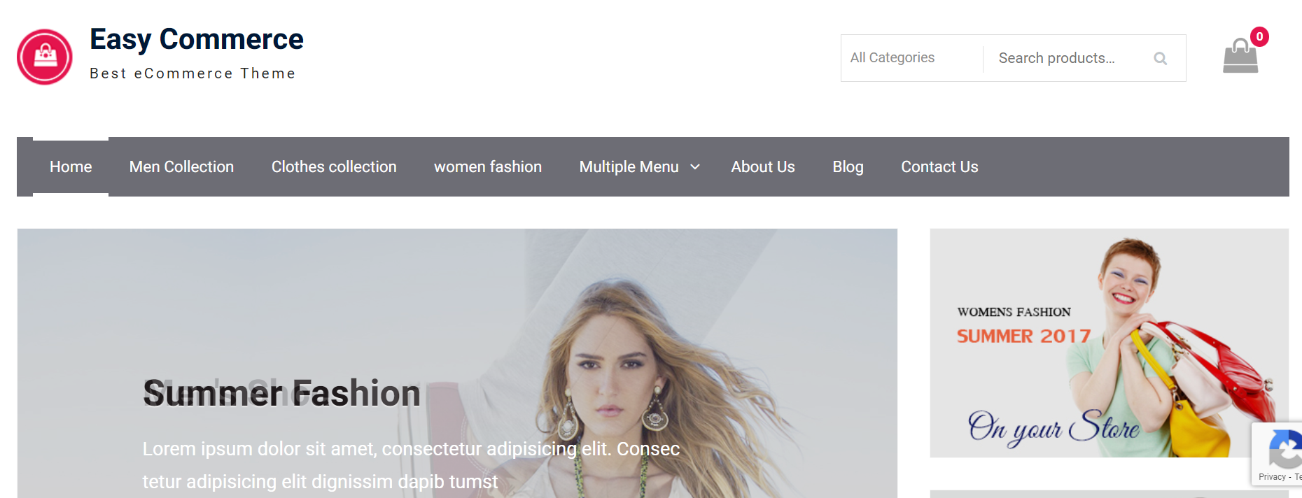 10+ Best Free Retail Shop WordPress Themes - 8DegreeThemes