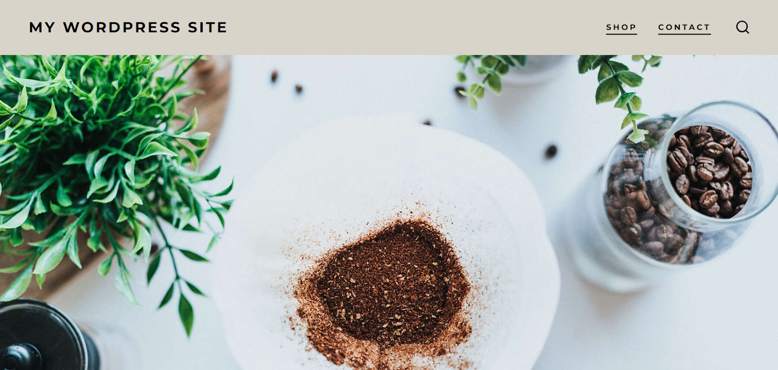 15+ Best Simple WordPress Themes for Free - 8DegreeThemes